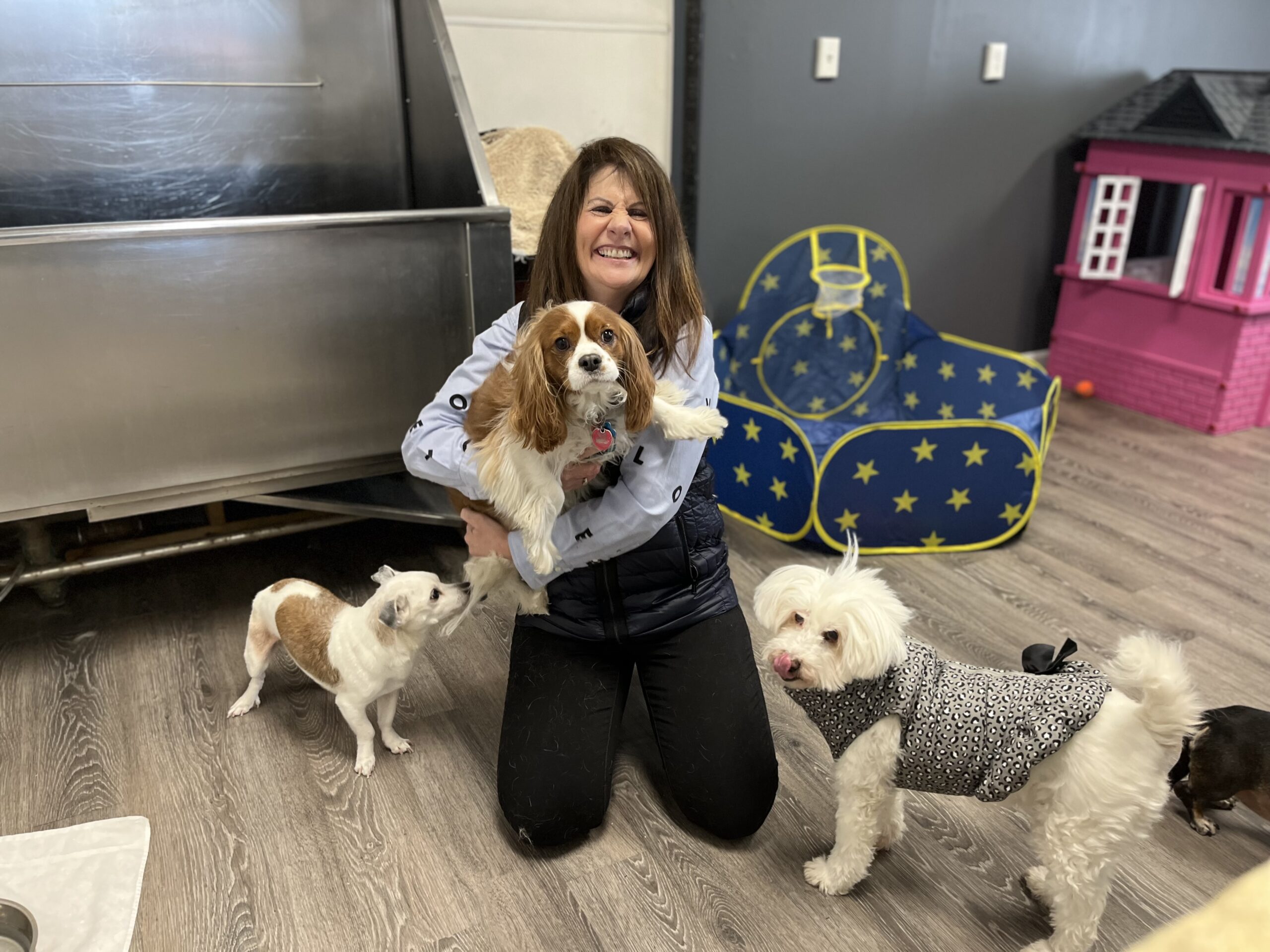 Meet The Dirty Doodle + All That Jazz - Stoneham MA Chamber of Commerce