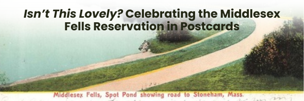 Downtown Banners - Stoneham MA Chamber of Commerce